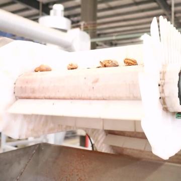 Quality CE Verified 380V Pecan Shelling Machine With High Perfect Kernel Rate for sale