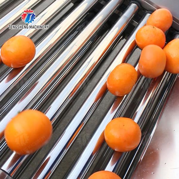 Quality Fruit Orange Vegetable Saiko persimmon lemon tangerine passion fruit avocado for sale