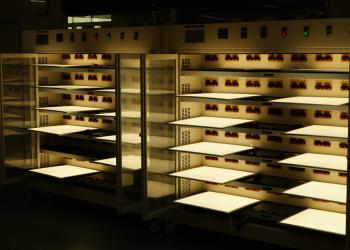 China Factory - Surplus (China) Lighting Industrial Co., Ltd