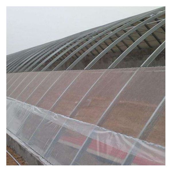 Quality Plant Agriculture Insect Net Anti Mosquito High Density Greenhouse Insect Net for sale