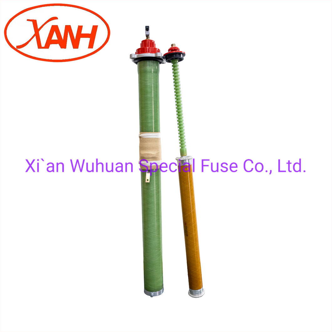 Oil-Immersed High Voltage Limit Current Backup Bay-O-Net Fuse Elsp Fuse Model Cbuc17030c100m