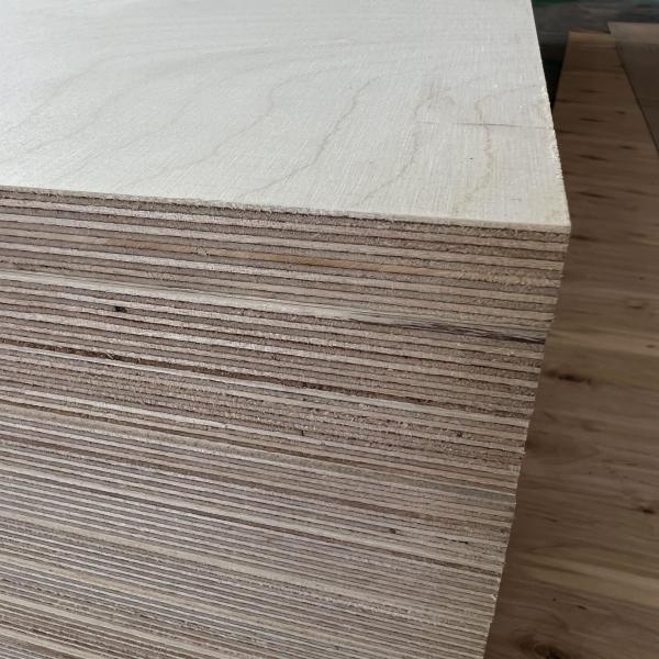 Quality Cabinets Hardwood Veneer Plywood Durable With Phenolic Adhesive for sale