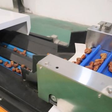 Quality Unlocking Efficiency Revolutionizing Palm Dates Sorting Machine with Cutting for sale
