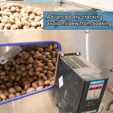 Quality CE Certified Dry Cracking Pecan Shelling Machine 100000 Nuts Capacity 220V for sale