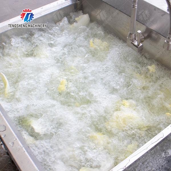 Quality Single cylinder fruit and vegetable washing machine with slag separator Leaves for sale