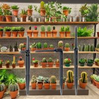 Quality Customizable Drop Arrows for Pot Farm Irrigation Agriculture Irrigation for sale