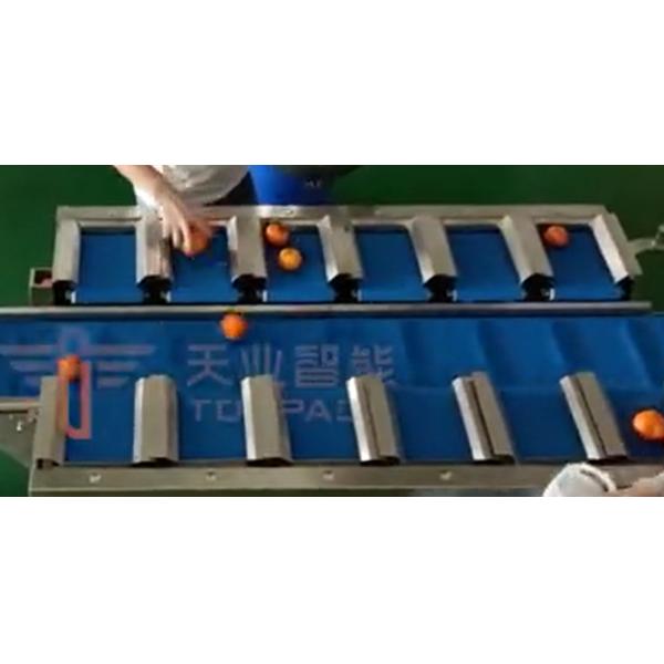 Quality PLC Multihead Weigher Packing Machine Speed Belt Scale For Fresh Orange for sale