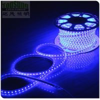 Quality 100m 230v AC led strip 5050 waterproof cuttable strips lights flexible blue for sale