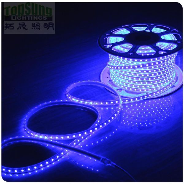 Quality 100m 230v AC led strip 5050 waterproof cuttable strips lights flexible blue color for sale