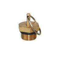 Quality Manual drain valve 934 300 0010 for sale