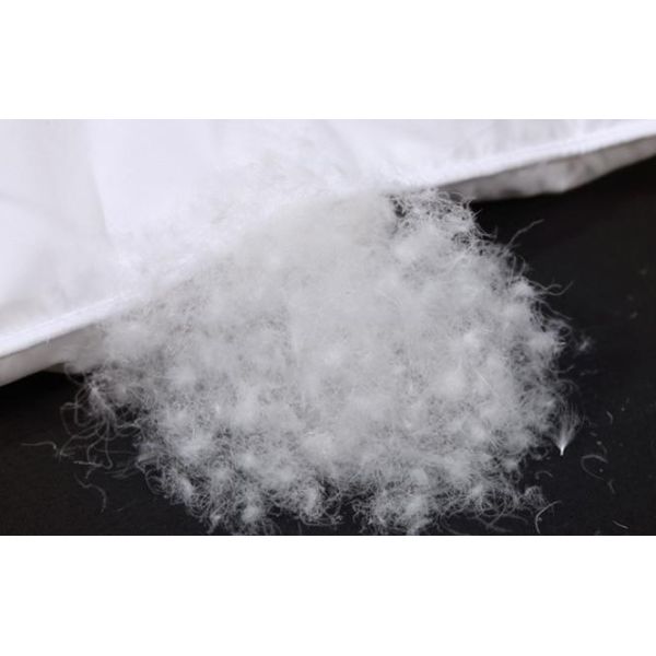 Quality 95% Polish goose down FP 850+ Cleanliness 1000+ for sale