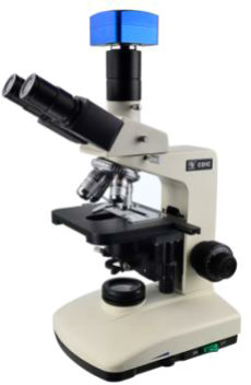 Quality WF10X/18mm 40X 100X Student Biological Microscope Biology Discussion 3W LED for sale