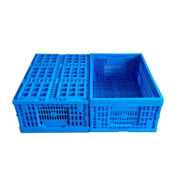 Quality Fresh Food Loading Plastic Collapsible Crates 600*400*240 mm Mesh Structure for sale