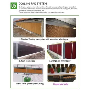 Quality Chicken Coop Automatic Poultry Farm Equipment With Ventilation System for sale