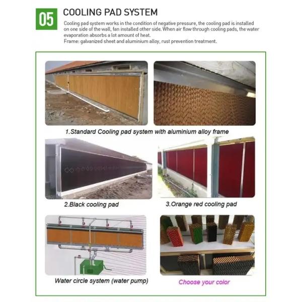 Quality Chicken Coop Automatic Poultry Farm Equipment With Ventilation System for sale