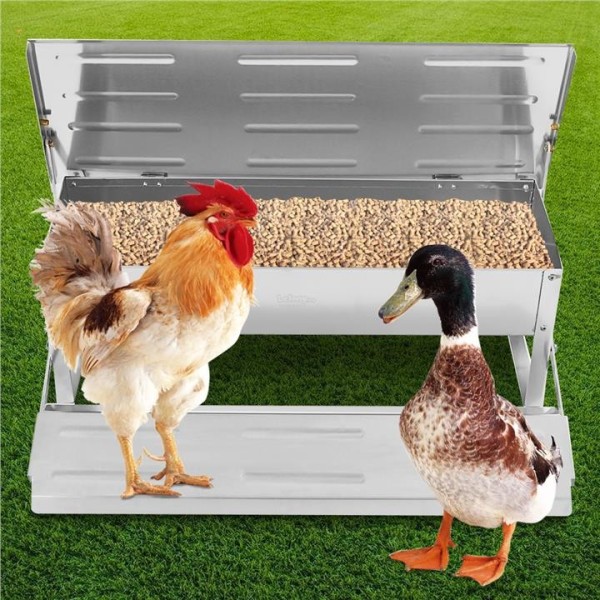 Quality CE Anti Feed Theft 5kgs Automatic Timer Chicken Feeder for sale