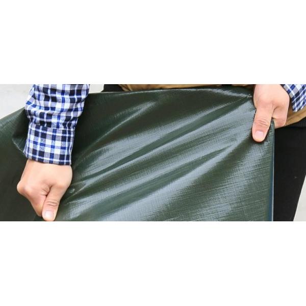 Quality Green/Silver PE Tarpaulin,Polyethylene PE tarpaulin,PE Coated Fabric for sale