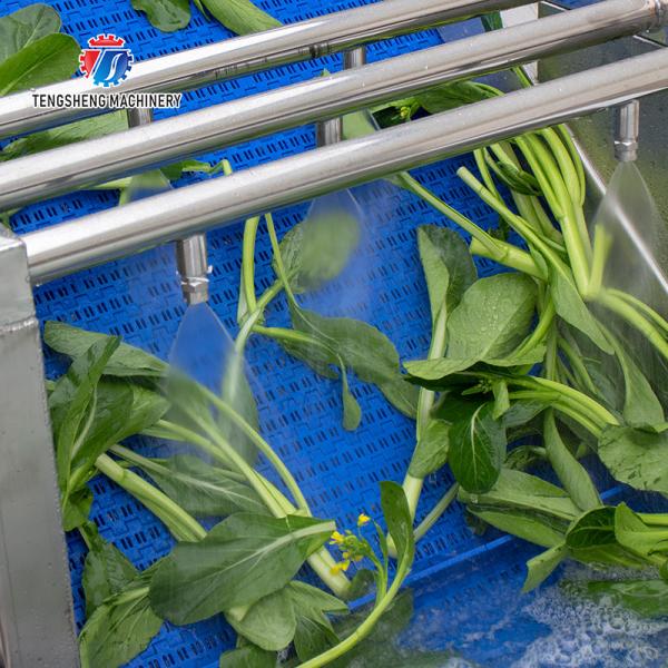 Quality 240KG Coriander Dandelions Vegetable Washing Line , ozone generator Fruit And for sale