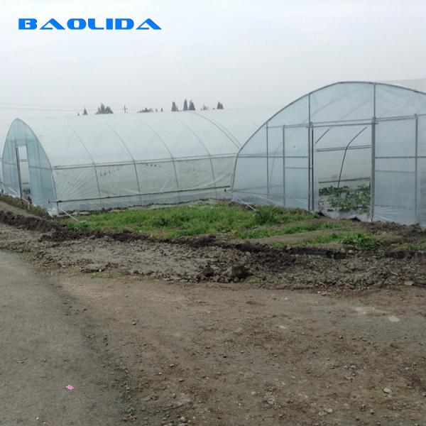 Quality High Tunnel Vegetables Planting Single Span Vegetable Tunnel Plastic Film for sale