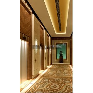Quality Machine Room Type 13 Persons High Speed Passenger Elevator 2.5m/s 4.0m/s For for sale