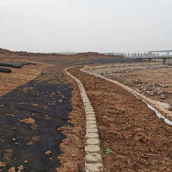 Quality Assembled Three Dimension Slope Grass Protection Blanket for Permanent Erosion for sale