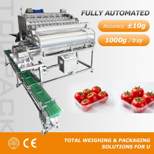 Quality Fruit Tray Sealing Packaging Line | With Automatic Tray Denester & Fruit Linear for sale