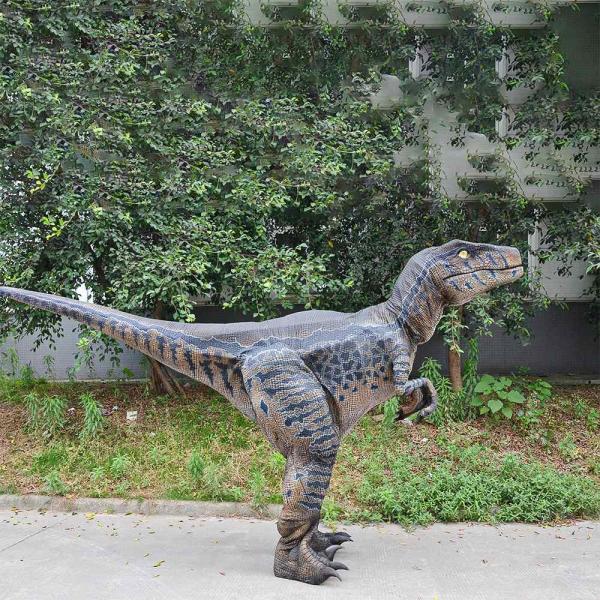 Quality Realistic Dino Suit 3-4m Human Control Steel Frame Silicone Rubber for sale