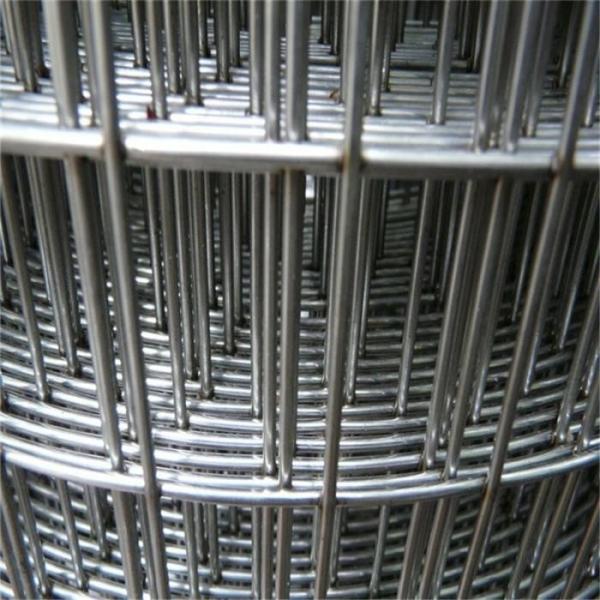 Quality Customizable 4ftx50ft Corrosion Resistant Galvanized Welded Wire Mesh for Chicken Bird Cage for sale