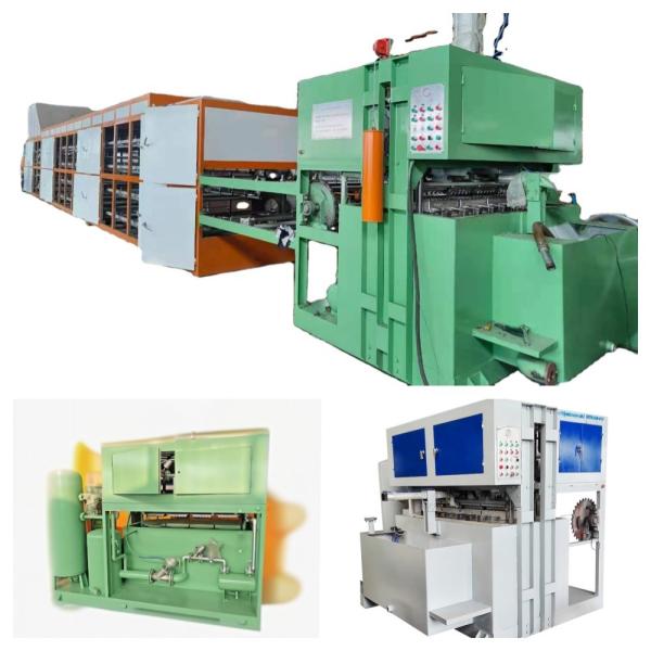 Quality 30-150kw Different Capacity Paper Egg Tray Machine With Advanced Technology for sale