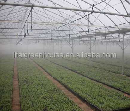 Quality Hydroponic System for Aquaponics in Multi-Span Agricultural Greenhouse for sale