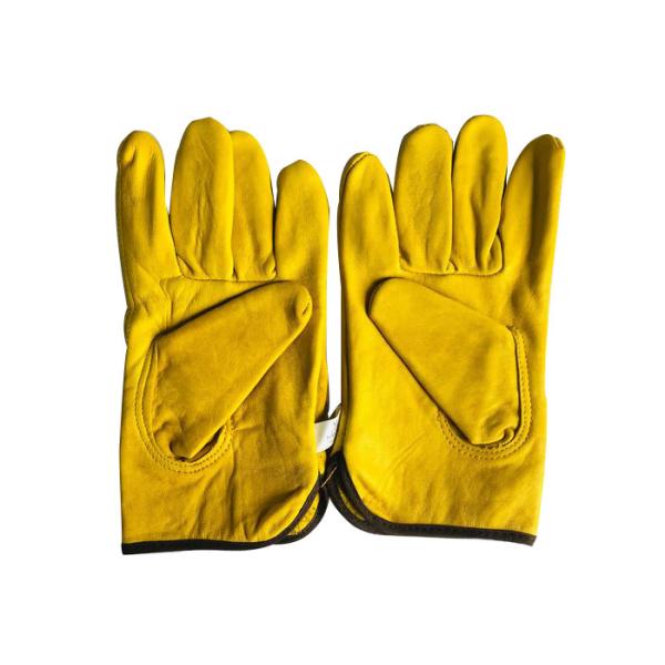 Quality Sheepskin Beekeeping Gloves for Protection Against Bee Stings with Unisex Design for sale
