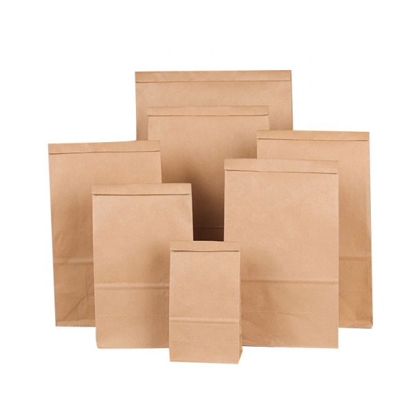 Quality Custom Logo Design Disposable Biodegradable Gift Paper Bags For Camping for sale
