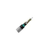 Quality Direct Buried Duplex Fiber Patch Cord Assemblies 36 Fibre Oem Connector for sale