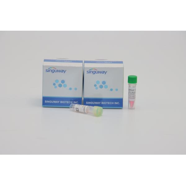 Quality Singuway HSV II Virus PCR Detection Kit Quantitative Fluorescent For Genetic for sale