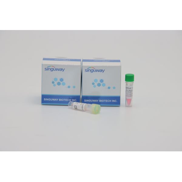 Quality Singuway HSV II Virus PCR Detection Kit Quantitative Fluorescent For Genetic Testing for sale