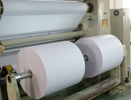 Quality BPA Free 48GSM Label Thermal Paper Jumbo Roll 54um for sale