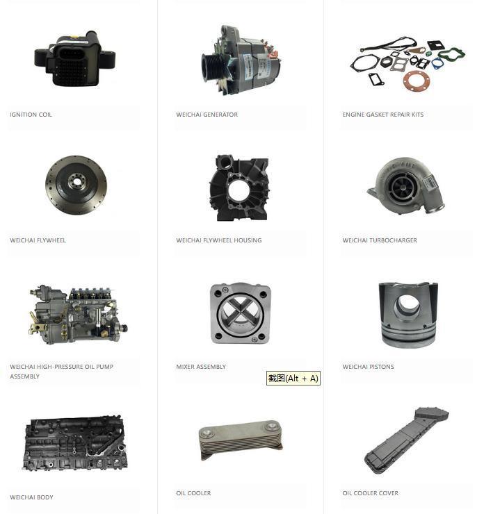Weichai Diesel Engine Parts Wd615/618/10/12/13 Wp2/Wp3/Wp4/Wp6 226 Series