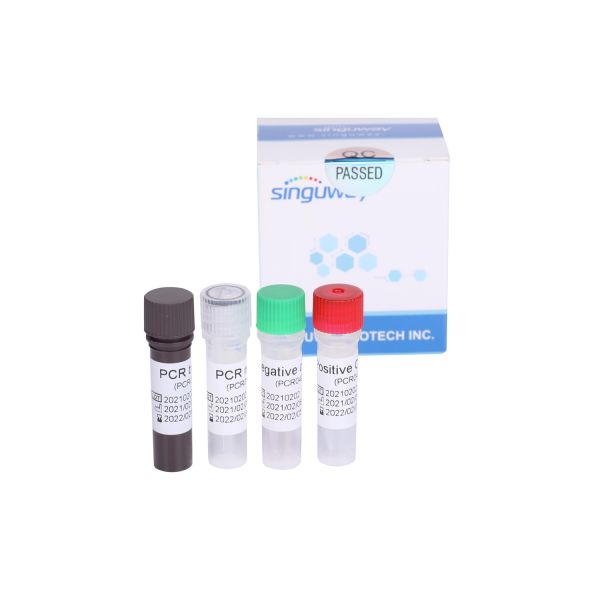 Quality Singuway Coronavirus Fast RT PCR Test Kit O N E Gene Detection Fluorescence Probe for sale