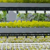 China Commercial Greenhouse Hydroponic Vertical Farming Container factory