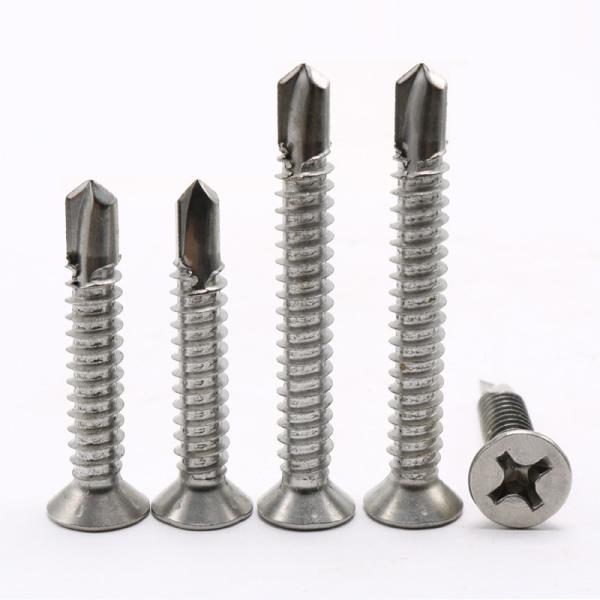 Quality SS304 Phillips Bugle Head Self Drilling Screw for sale