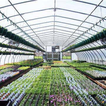 Quality Plastic Film Steel Frame Tunnel Greenhouse for Farm for sale