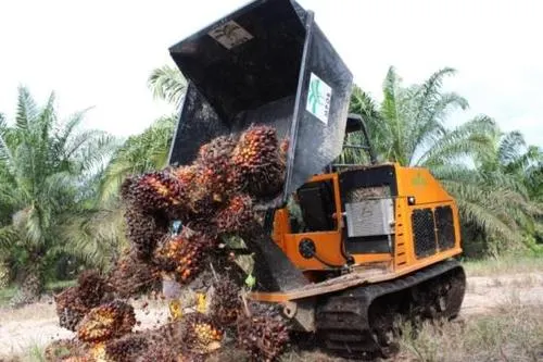 High Performance Crawler Dumper GF5000d 5 Tons Self-Loading Capacity Self-Propelled Side Dumping Style 37kw/3200r/Min Engine Power Used for Oil Palm Plantation