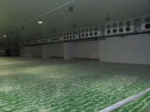 Quality Bespoke Cold Rooms 100mm Panel Vegetable Cold Storage Room for sale