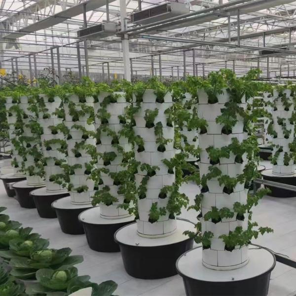 Quality Hydroponic Growing System Garden Farm Greenhouse Vertical Tower Planter for sale
