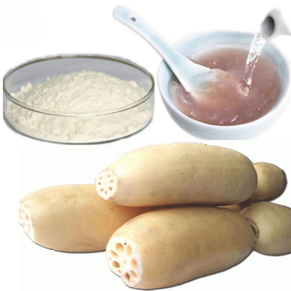 Quality Meal Replacement Pure Natural Lotus Root Vegetable Extract Powder for sale
