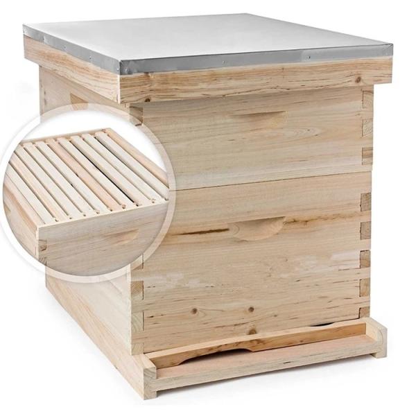 Quality Bee Hive Equipment European Style Wooden Beehive Beekeeping Apiculture Wooden for sale