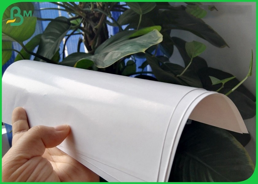 High Glossy Art Paper For Book Cover Printing 2 Side Coated White Color 