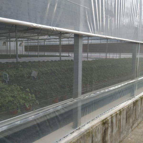 Quality Vegetable Polyethylene Plastic Sheeting Greenhouse Galvanized Steel Frame for sale