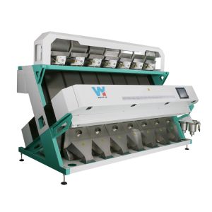 Quality Dried Onion Slices Vegetable Sorting Machine 448 Channels for sale
