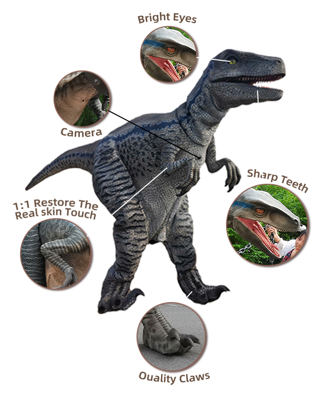 Close-up details of the dinosaur costume features